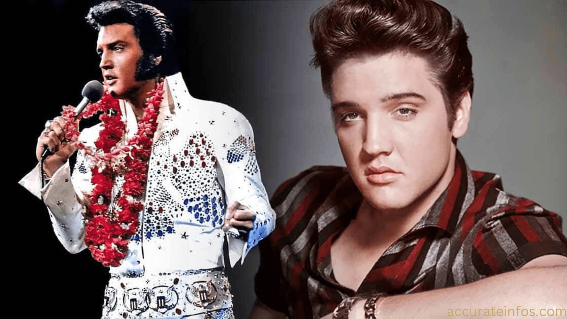 Ronnie Shacklett: Ultimate Life Style, bio, Net worth, Personal History ...